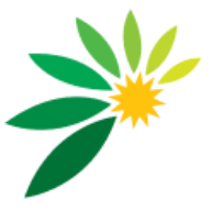 APCN's Company Financials | 10 Year History - Market Index